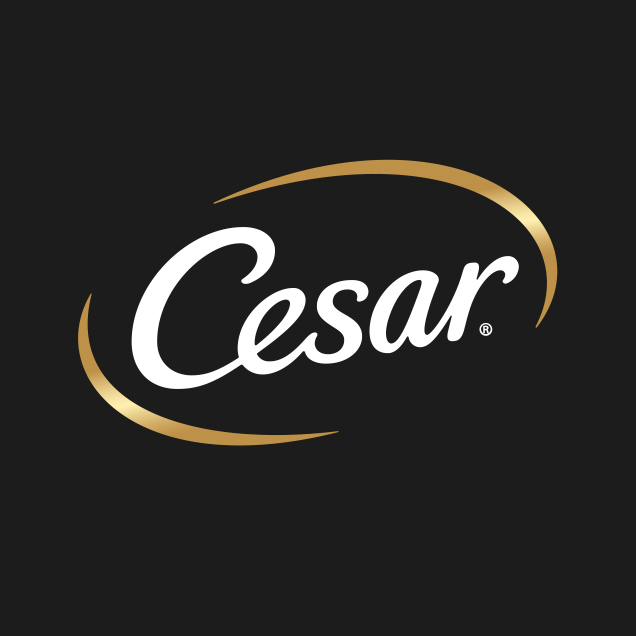 Un Mondo A Misura Di Cane | Cesar IT